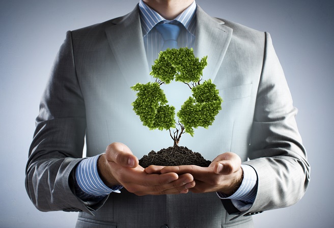Green Company Roundup For September RecycleNation